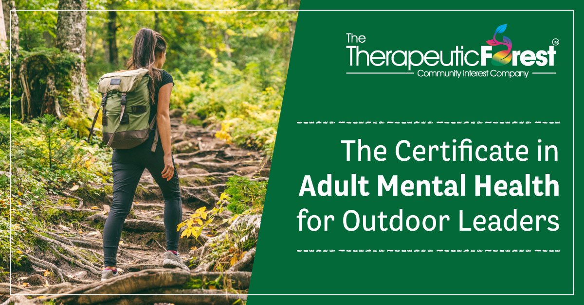 Registration: The Certificate in Adult Mental Health and Wellbeing for ...