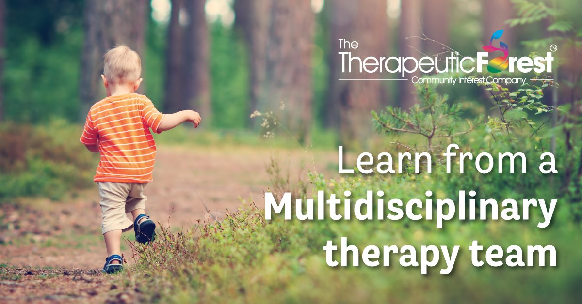 The Therapeutic Forest